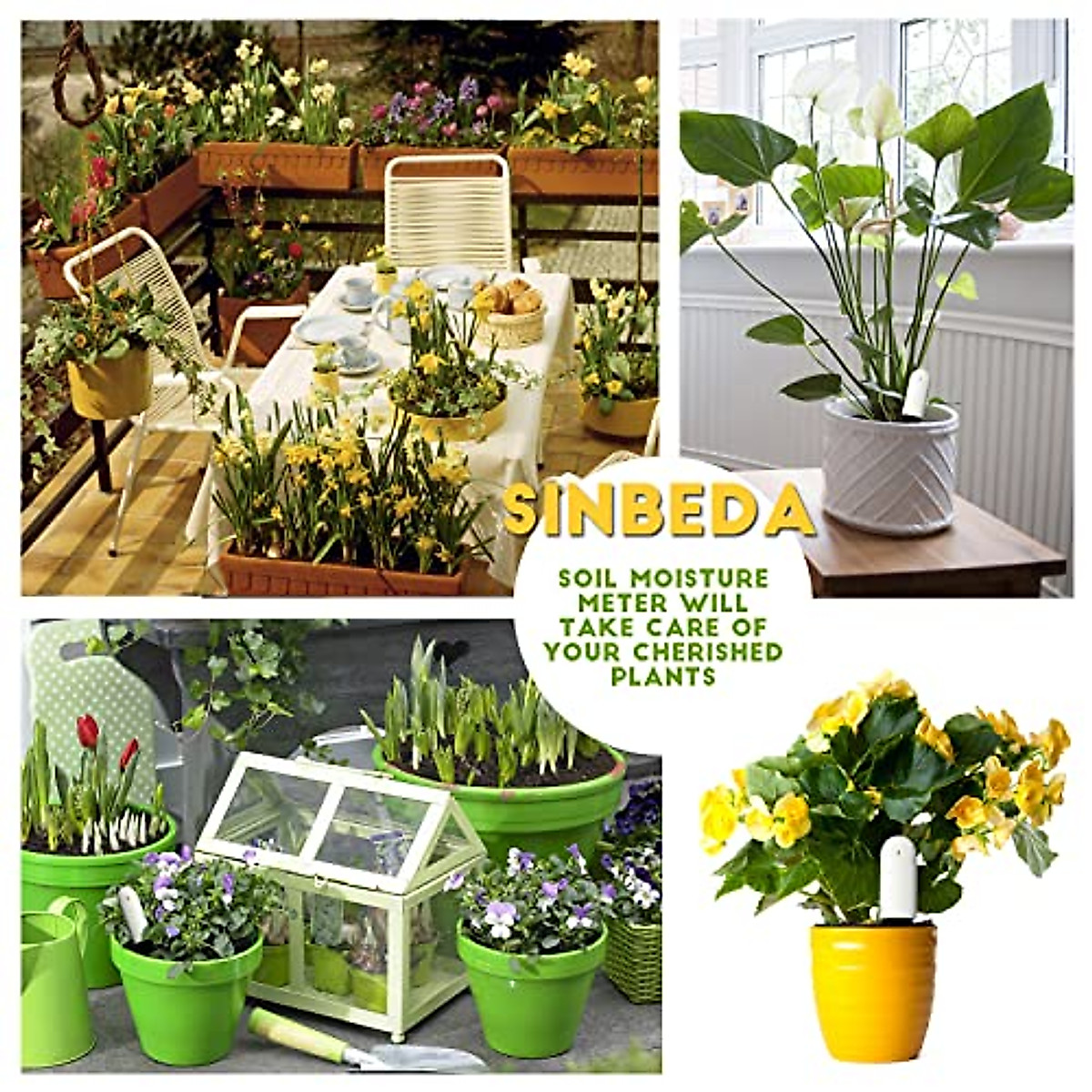 Soil Moisture Meter 4 in 1,Plant Water Monitor,Automatically detect Moisture/Temperature/Light/Fertility,Can Connect to Mobile Phone via Bluetooth,Hygrometer Sensor for Indoor Plants (1pc)