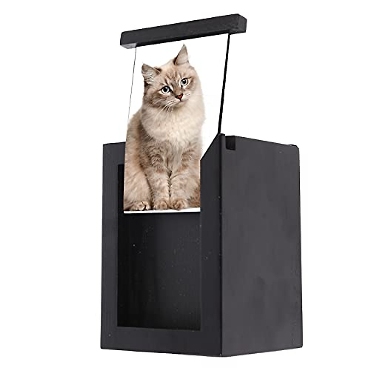 Cuodia Pet Urns Pet Cremation Urn,Dog Urns for Ashes, Cat Urn for Ashes, pet urns for Dogs Ashes Small, Wood Keepsake Memorial Urns. (Black S)