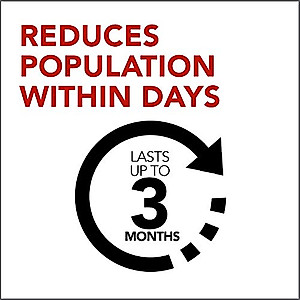 Raid Double Control Ant Baits, 4 CT (Pack - 1), plain