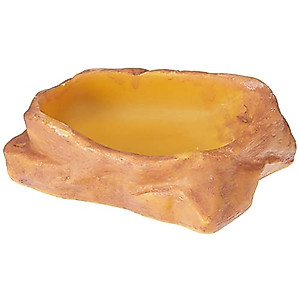 Exo Terra Water Dish, Medium