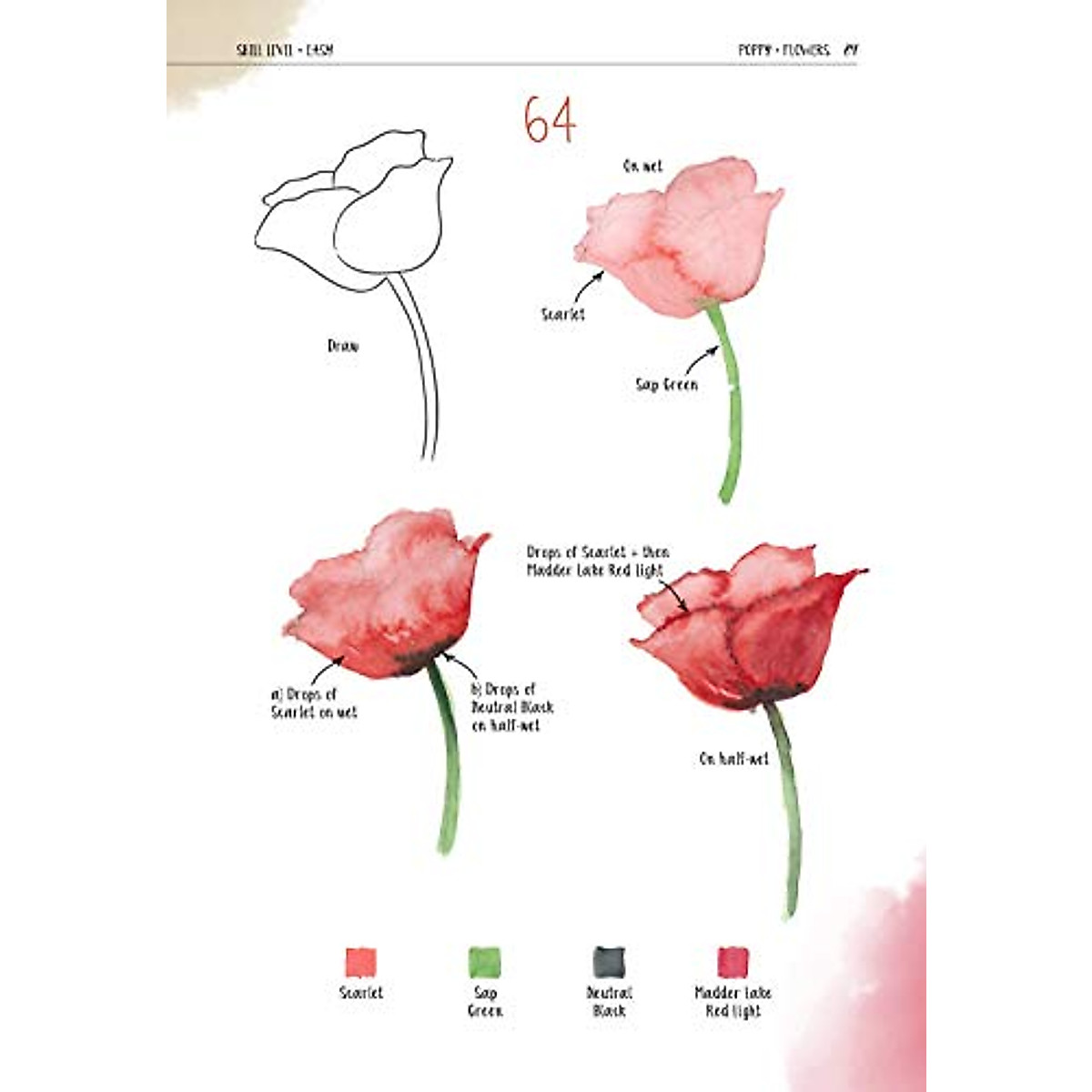 Watercolor Success in Four Steps: 150 Skill-Building Projects to Paint (Design Originals) Beginner-Friendly Step-by-Step Instructions & Techniques to Create Beautiful Paintings as Easy as 1-2-3-4