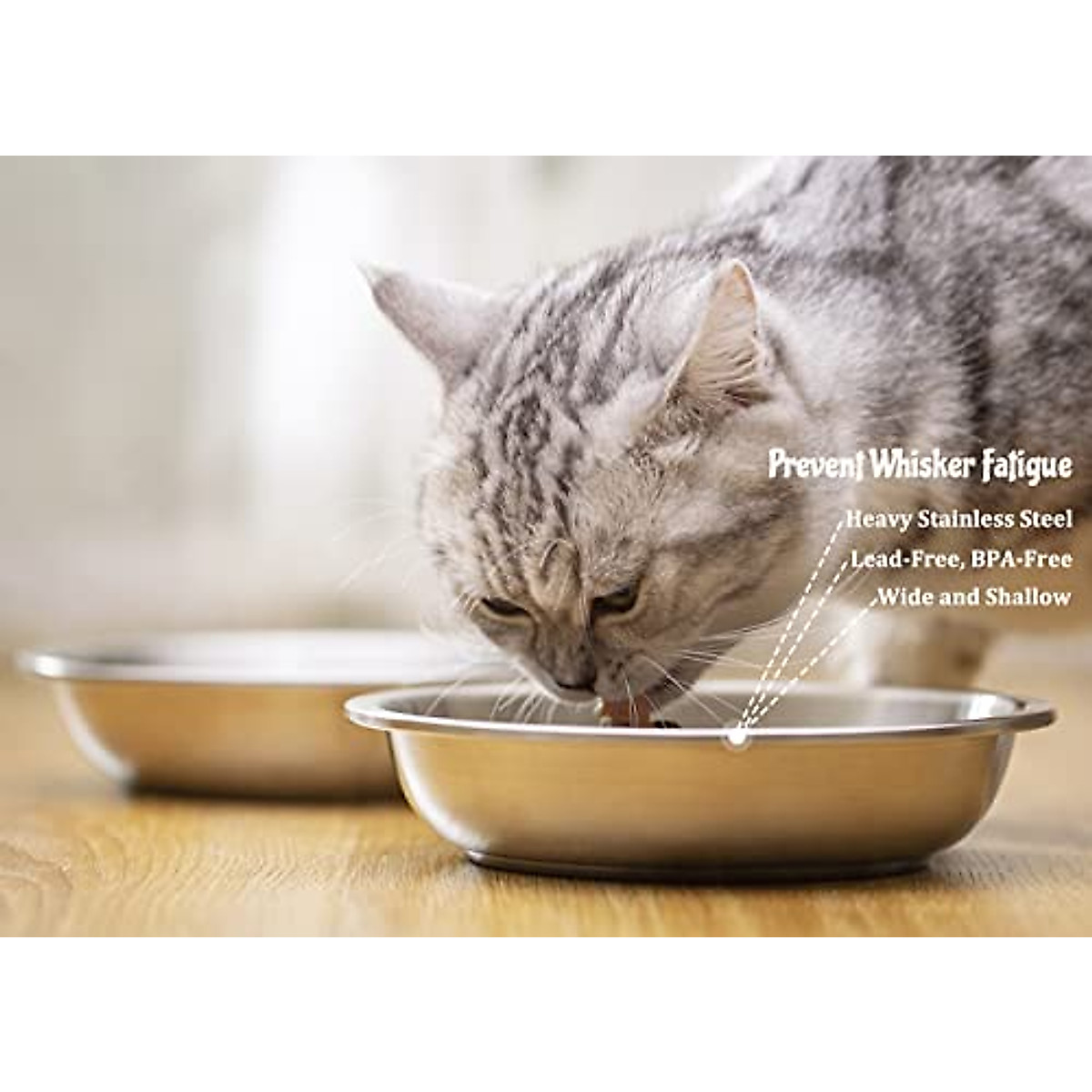 BiteKing Stainless Steel Cat Bowls, Whisker Fatigue Relief Cat Food Dish, Metal Shallow Wide Large Replacement Plate for Dog and Pet, Ideal for Raised Elevated Pet Feeding Station Stand