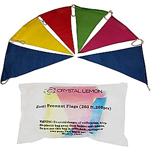 250pcs 263FT, Multicolor Pennant Flags, Nylon Fabric Decorations Grand Opening Banner Rope by Crystal Lemon