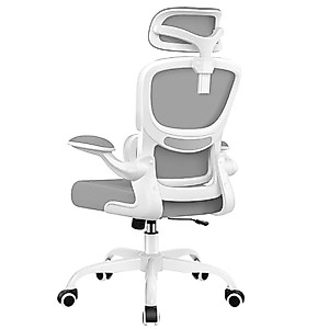 Razzor Ergonomic Office Chair, High Back Mesh Desk Chair with Lumbar Support and Adjustable Headrest, Computer Gaming Chair with Flip-up Armrests, Executive Swivel Chair for Home Office (LightGray)