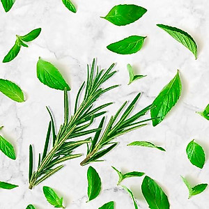 Suave Professionals Invigorating Shampoo for Dry and Damaged Hair Rosemary and Mint Paraben free and Dye free Hair 28 fl oz