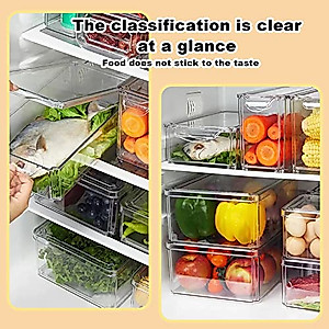Finkoo 10 Pcs Fridge Organizer, Stackable Refrigerator Storage Bins with Lids, Kitchen Organization and storage BPA-Free Pantry Clear Storage Containers for Food, Drinks, Vegetable Fruits