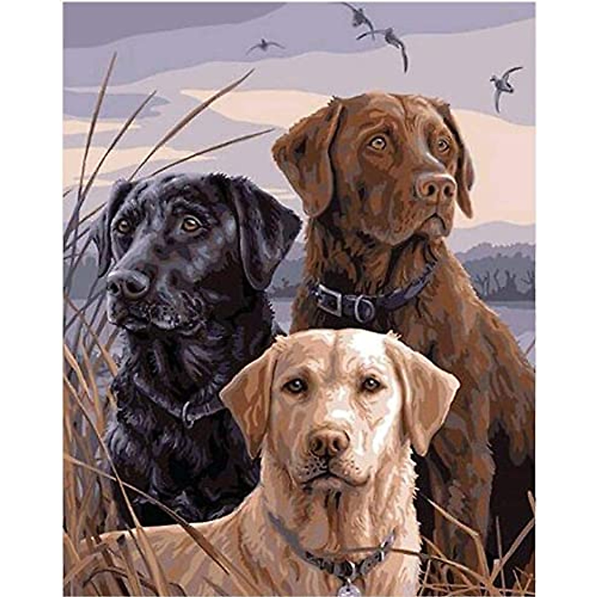 JFYHAB 5D Diamond Painting Kit for Adults Beginner, Dogs Full Drill Diamond Art Rhinestone Painting with Diamonds Pictures Arts and Crafts for Home Wall Decor 12 x 16 inch