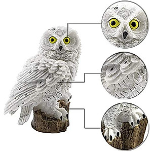Garden Solar Lights Outdoor, Owl Shape Waterproof LED Decorations Landscape Lighting for Pathway Walkway Yard Patio Lawn Wedding Party (White)