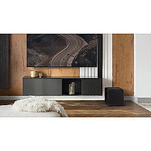 Definitive Technology Descend DN10 10" Subwoofer - Digitally Optimized for Movies and Music, New 3XR Architecture, 500W Peak Class D Amplifier & (2) Pressure-Coupled 10" Bass Radiators, Black