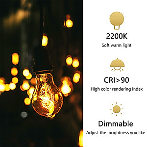Figame A19 Edison Bulb 40W 6-Pack - Dimmable 120V Amber Glass, Antique Retro Style Old-Fashioned Incandescent Bulb, 2200K Warm Yellow Light, for Home Office Desk Lamp