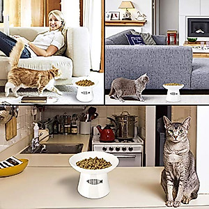 Yangbaga Cat Raised Food/Water Bowl for Elder Big Cats, Non-Skid 4.8x6.4in Premium Ceramic Cat Bowls with Stand, Sturdy and Anti-Fall… (White)