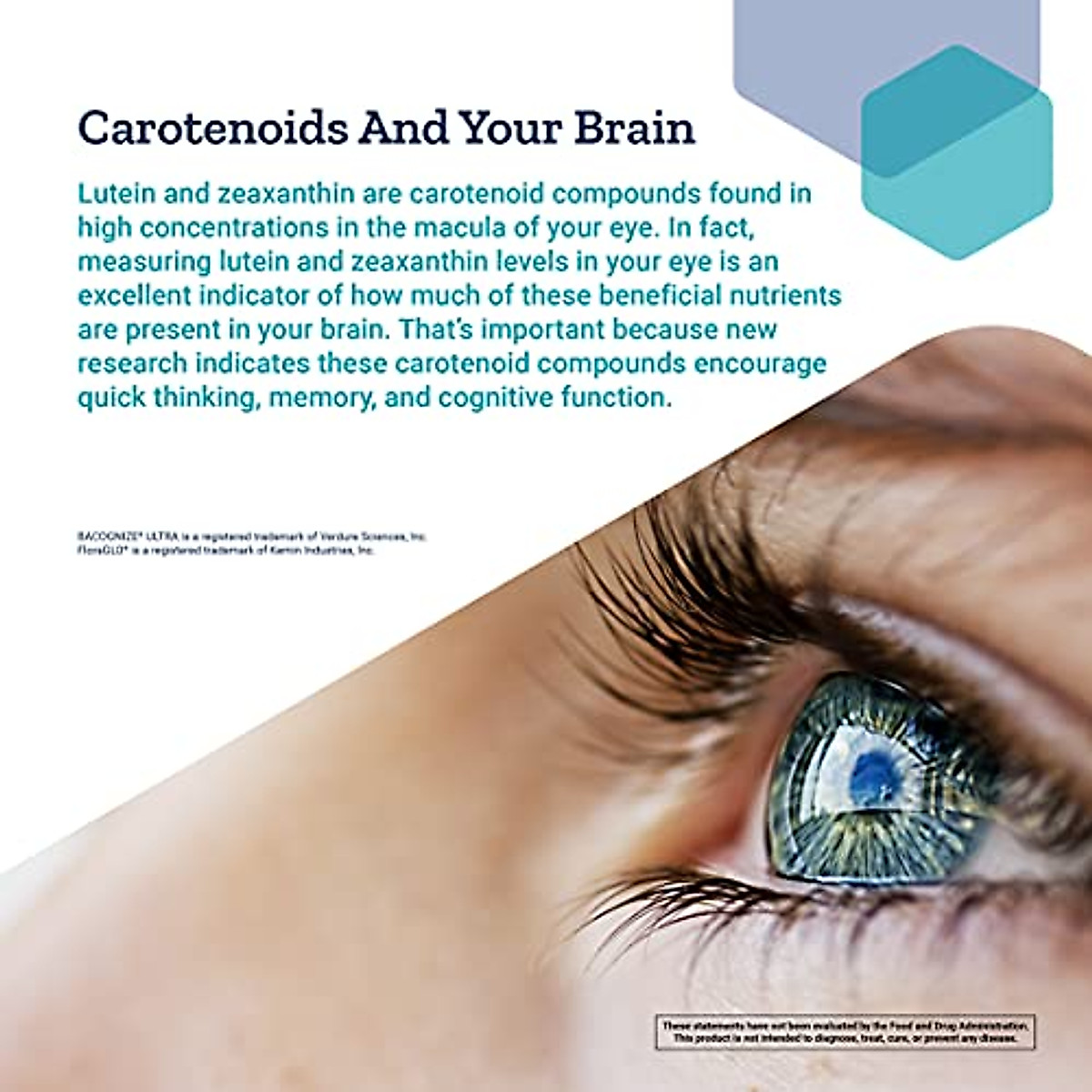 Life Extension Quick Brain Nootropic — Brain Supplement for Memory, Focus, Learning, Recall, Attention and Cognition – Gotu Kola, Bacopa, Once Daily, Gluten-Free, Non-GMO - 30 Vegetarian Capsules