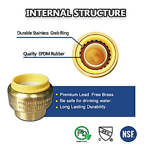 HQMPC 1" Push Fit PEX End Cap, Push-to-Connect, No lead Brass Plumbing Fittings for Copper, CPVC 6Pcs Disconnect Clip Included