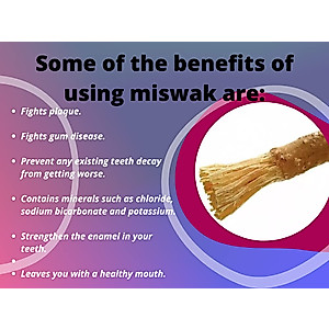 Organic Herbs Traditional Natural Miswak (sewak) Peelu Chewing Stick Toothbrush for Whiter Teeth -10 Pc