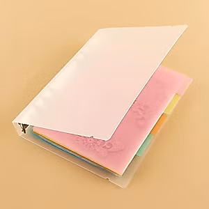 Loose-Leaf Detachable Die Storage Book Binder Die and Stamp Storage Folder Page Protectors Pockets 1 Cover,5 Pieces 1/2/3/4 Pockets Inserts with 5 Colors Dividers Set for Craft Stencils Storage Album