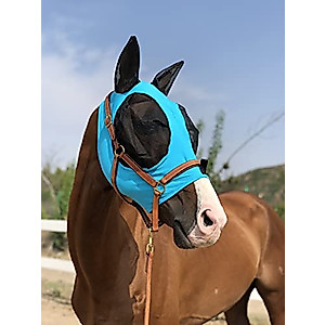 TGW RIDING Horse Fly Mask Super Comfort Horse Fly Mask Elasticity Fly Mask with Ears We Only Make Products That Horses Like (Pacific Blue, L)
