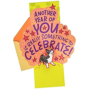 Hallmark Pop Up Birthday Card (Birthday Dog)