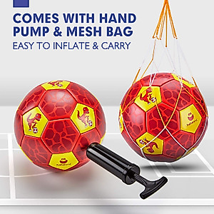 Size 3 Soccer Ball for Kids with Pump Mesh Bag - Dinosaur Ball Set - Outside/Backyard/Outdoor Toys for Kids Ages 3-4-5-8 - Kids Games Soccer Gifts for 3 Year Old