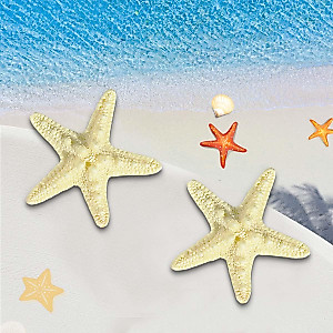 OBTANIM 2 Pcs Starfish Hair Clip Resin Beach Sea Star Hair Pins Mermaid Hair Clips Accessories for Women and Girls