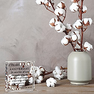 2 Years Anniversary Cotton Flower Drawing Print Gift 2nd Anniversary Wedding Gift Valentine Day Gift Acrylic Paperweight 2nd Marriage Gift for Him Her Wife Husband Lover (Flower Style)