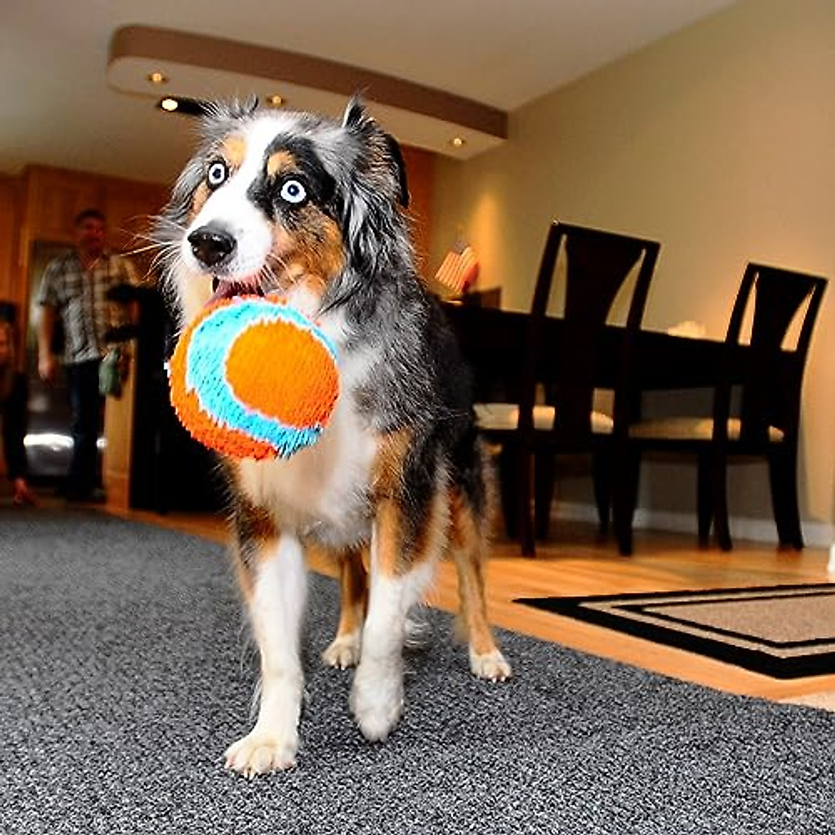 Chuckit! Indoor Fetch Ball Dog Toy (4.75 Inch), Orange and Blue