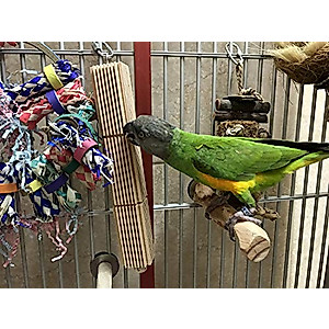 Mini Tower Toy for Small Parrots and Parakeets