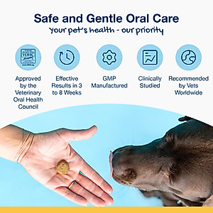 ProDen PlaqueOff Soft Chews with Natural Kelp - for Small & Medium Breed Dogs & Cats - Supports Normal, Healthy Teeth, Gums, and Breath Odor in Dogs & Cats - 90 Soft Chews