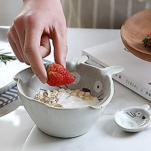 Ceramic Grey Cartoon Plate Bowl Set Hand-Painted Anime Character Dinnerware for Kids Cute Non-slip Dish Sets (Set of Bowl, Plate, Spoon)