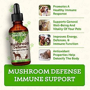 Animal Essentials Mushroom Defense - Immune System Support for Dogs & Cats, Natural Antioxidant, Mushrooms, For All Ages, Organic Herbs - 1 Fl Oz
