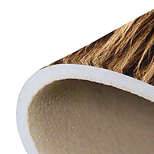 AGONA Modern Area Rug 2x3 Roaring Angry Lion Rugs Soft Indoor Floor Carpet, No-Shedding Non-Slip Rectangle Mat for Living Room Entryway Bedroom Dormitory