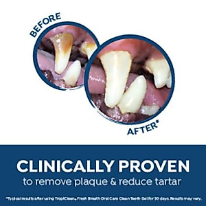 Fresh Breath Certified Wellness Collection Vet Recommended Peanut Butter Oral Care Clean Teeth Gel for Dogs, 4oz - Removes Plaque & Tartar - Cleans Teeth - Dog Dental Care - No Brushing Required