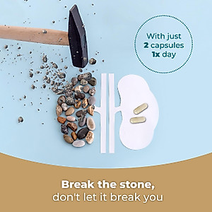 PUREHEALTH RESEARCH Kidney Health Formula - Complete Kidney Cleanse Solution from Effective Kidney Stones Dissolver with Chanca Piedra Stone Breaker for Ultimate Kidney Support - 1 Bottle