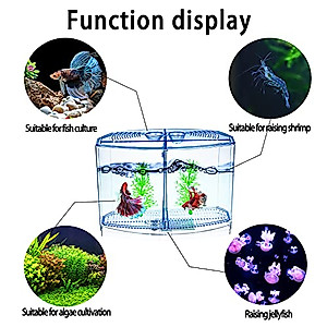 Betta Fish Tank - Mini Betta Bowl Kit Small Aquarium with Divider - 2/5 Gallon Beta Fish Tank Set Starter Goldfish Fishbowl - Transparent Acrylic Fish Jar for Shrimp Crab Moss Seaweed Ball