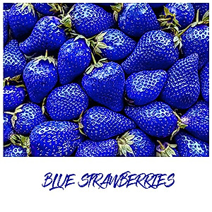 400+ Mix Strawberry Seeds for Planting Red Yellow Blue White Climbing Strawberry Heirloom Everbearing Fruit Sweet and Delicious