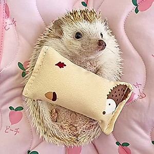 Ymid Select 4 Pcs Hedgehog Mini Pillows Small Animal Toys Habitat Decor Cage Accessories Hedgehog Supplies Photo Props Toy for Ferret ,Rabbit,Bird,Parrot,Mouse,Chinchilla, Rat,Gerbil,Dwarf Hamster