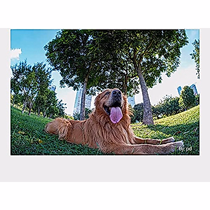 TTArtisan 7.5mm F2 APS-C Fisheye Lens 180° Ultra Wide Angle Large Aperture Manual Focus Lens for Leica/Sigma L Camera TL CL FP