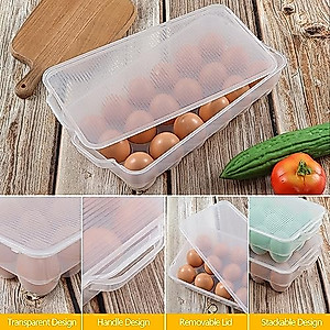 Saedy Plastic Egg Containers with Lid, 2 Pack Egg Holder Refrigerator Organizer Bin Tray