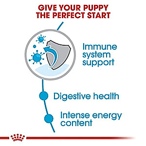 Royal Canin Small Puppy Dry Dog Food, 13 lb bag