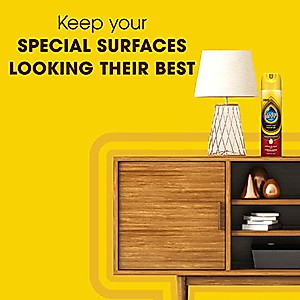 Pledge Moisturizing Oil Spray, Amber & Argan Scent, Nourishes, Protects and Revitalizes Furniture, 9.7 oz