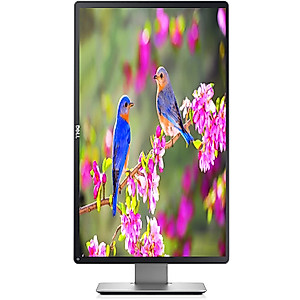 Dell P2314HT Monitor Full FHD 1920 x 1080, Display Port, VGA, DVI, 16.7 Million Colors, 8 ms Response time, 178 Degree Viewing Angle, 30-83 kHz Refrest Rate (Renewed)