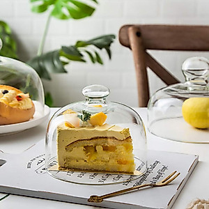 Cabilock 1pc Transparent Cloche Dome Glass Cheese Dome Dessert Cloche Cover Decorative Cake Cover Cupcake Cover Clear Desert Cloche Clear Cloche Cake Dome Cover Food Micro-wave Oven