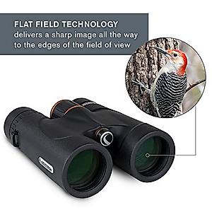 Celestron – Regal ED 8x42 Binocular – ED Binoculars for Birding, Hunting and Outdoor Actvities – Phase and Dielectric Coated BaK–4 Prisms – Fully Multi-Coated Optics – 6.5 Feet Close Focus