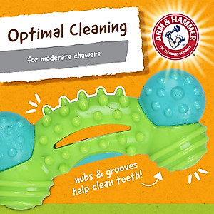 Arm & Hammer for Pets Nubbies Duality Bone Dental Dog Toy- Best Dog Chew Toy for Moderate Chewers- Dog Dental Toy Helps Reduce Plaque & Tartar- Green Apple Flavor Baking Soda (Pack of 1)