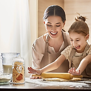 BARST Brown Sugar Saver and Softener Disc with Lovely Dinosaur Design, Brown Sugar Keeper for Food Storage Containers, Reusable & Food Safe, Terracotta 6 Pack