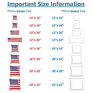 AM AEROMAX 22 ×22 Pillow Insert (Pack of 2) Memory Foam Throw Pillow Insert Sham Square for Decorative Cushion Bed Couch Sofa Without Deform After Longtime Use