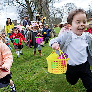 Evoio Easter Baskets, 24 Pack Plastic Easter Baskets Bulk for Egg Hunts Set, Easter Bucket Bags with 120g Easter Grass for Toddler Classroom Collecting Easter Eggs Party Favor