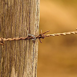 Therwen U Shaped Nails Wire Fence Staples Nails, 1 Inch Steel Fencing Spike, Galvanized U Shaped Fasteners Spike for Fixing Wire Woven and Mesh Fencing, Corrosion and Rust Resistant(500 Pcs)