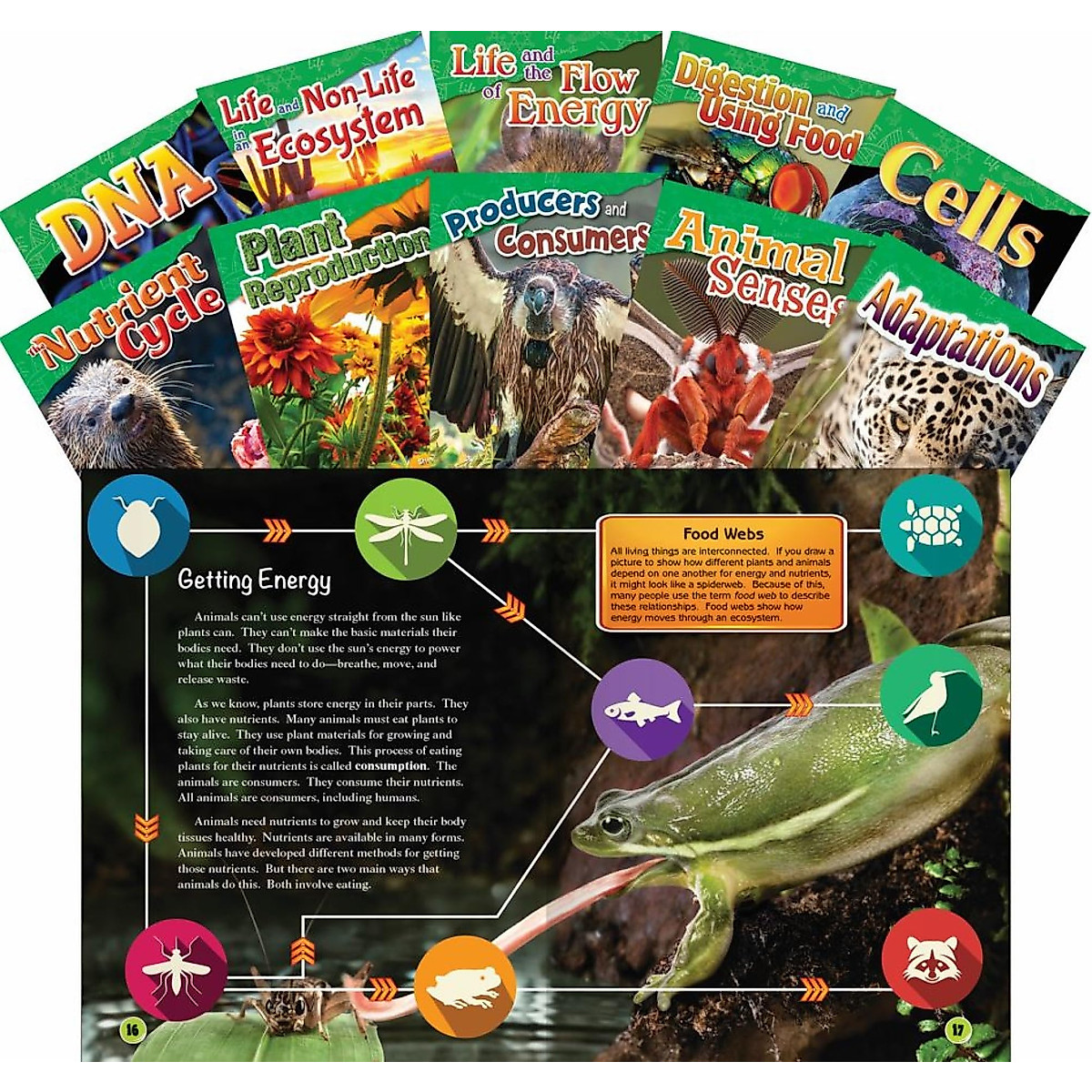 Teacher Created Materials - Science Readers: Content and Literacy: Let's Explore Life Science - 10 Book Set - Grades 4-5