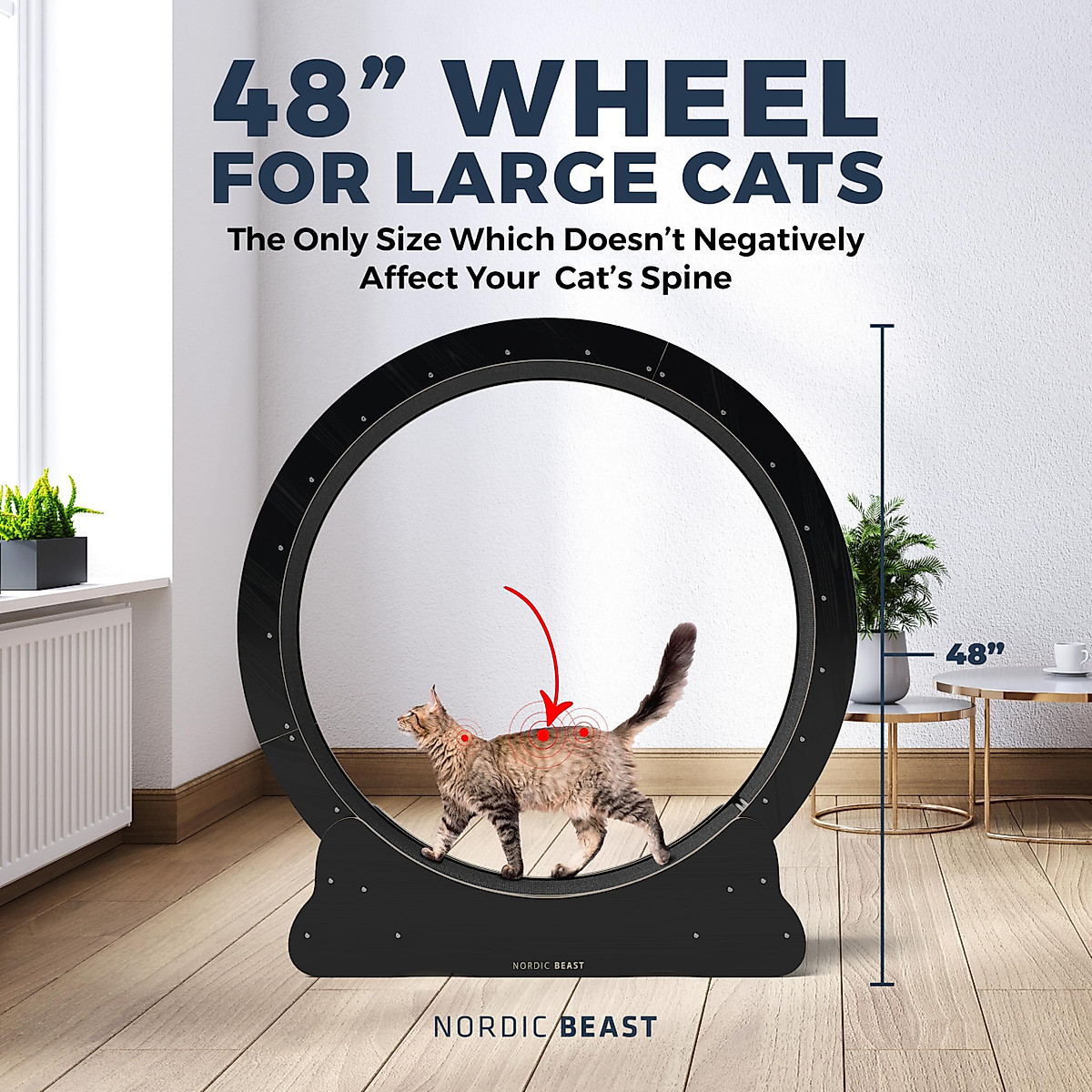 48'' Large Cat Wheel – Size Which Doesn't Negatively Affect Cat's Spine – Nordic Beast, Cat Exercise Wheel Indoor, Cat Wheels for Indoor Cats, Cat Treadmill, Cat Running Wheel, Cat Wheel Exerciser