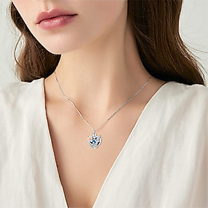 TOUPOP Hummingbird Urn Necklace for Ashes Sterling Silver with Blue Heart Crystal Cremation Jewelry w/Funnel Filler Memory Jewelry for Women